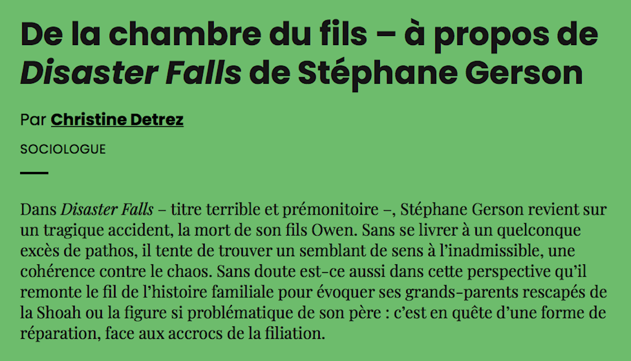 De la chambre du fils – à propos de Disaster Falls de Stéphane Gerson ...