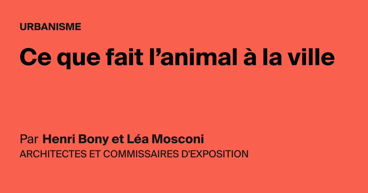 Ce que fait l’animal à la ville - AOC media