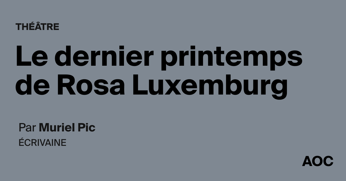 Le dernier printemps de Rosa Luxemburg - AOC media