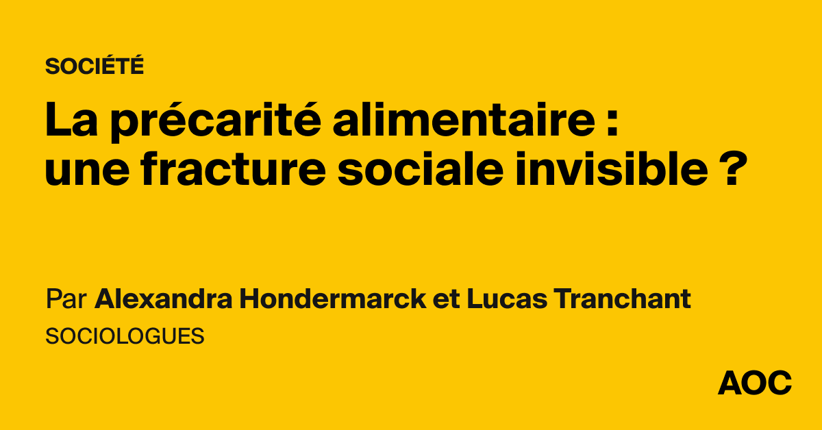 La précarité alimentaire : une fracture sociale invisible ? - AOC media
